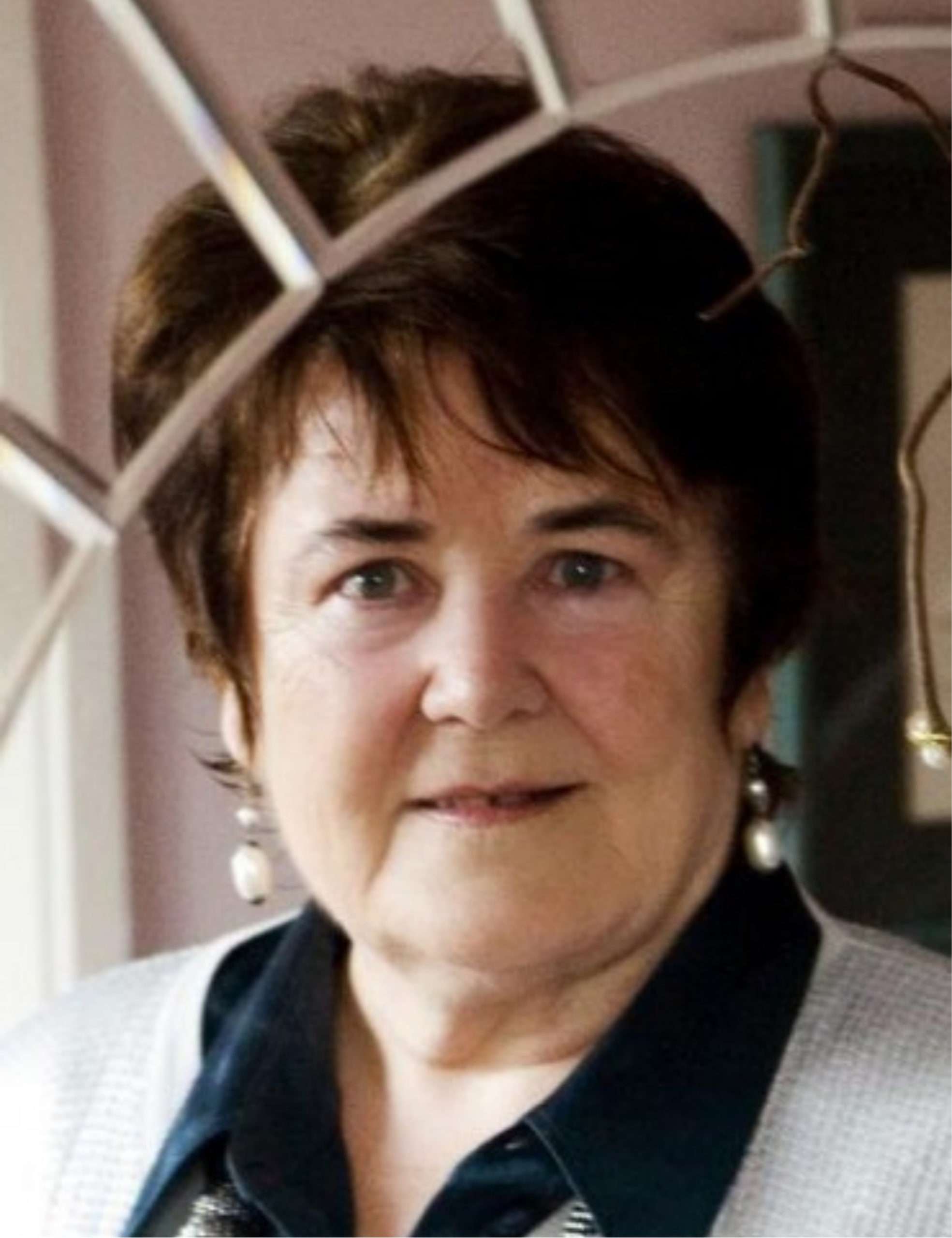 FESTIVAL ARTISTS – MOTH & BUTTERFLY